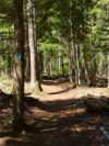 Hiking Hogback Mountain: A Challenge Worth Taking | Upper Peninsula of ...