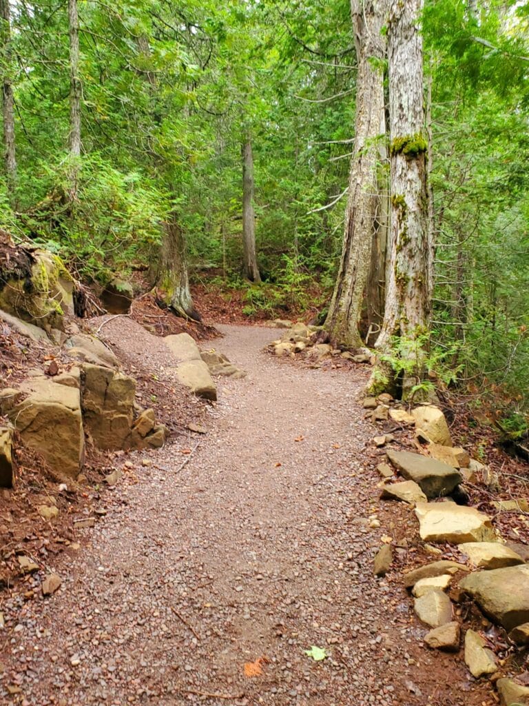 Hiking in the Estivant Pines Wilderness Nature Sanctuary - Upper ...