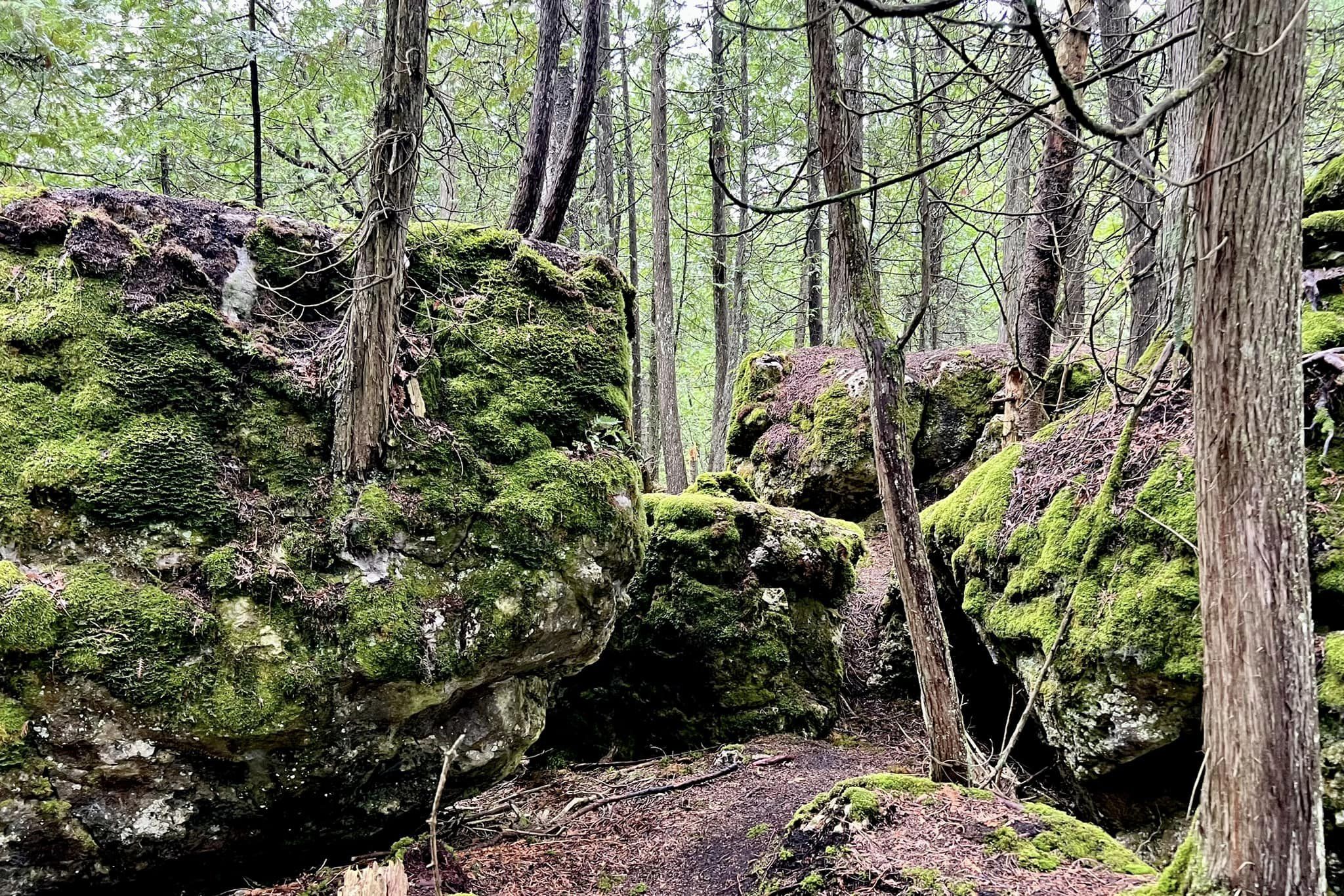 Exploring the Hidden Magic of the Narnia Trail in Upper Michigan ...