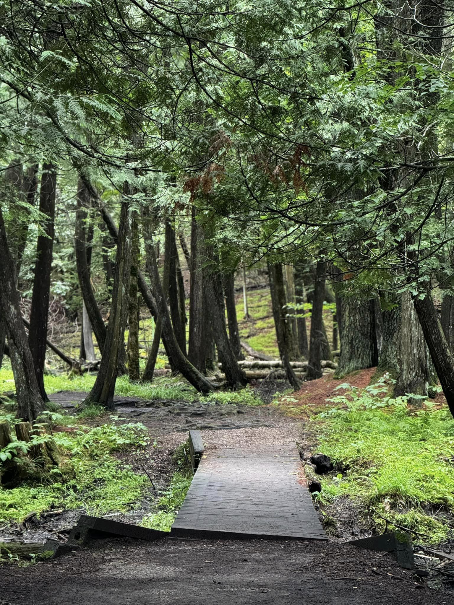 Piers Gorge: A Guide for Hikers, Waterfall Lovers, and Whitewater ...